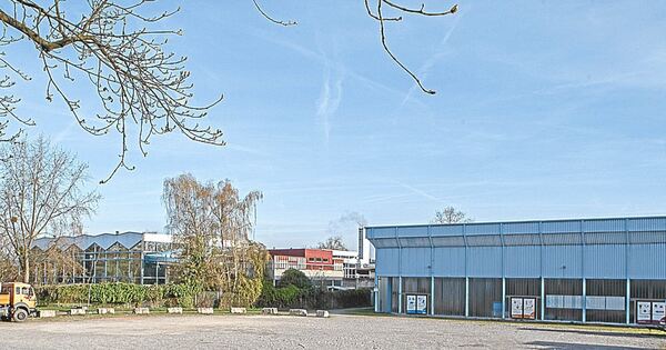 Statt drei Sporthallen jetzt nur eine