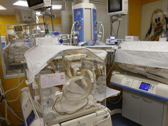 Mutter und ihre Neunlinge nach Geburt wohlauf