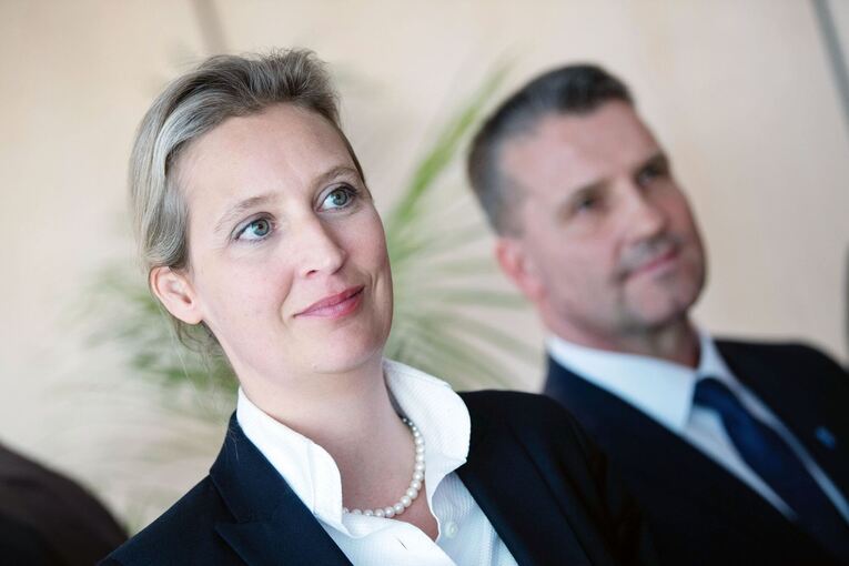 AfD-Politiker zieht Grenze zu «problematischen» Personen