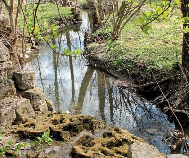 Abstraktion und feine Brüche: Was die Glems zu bieten hat