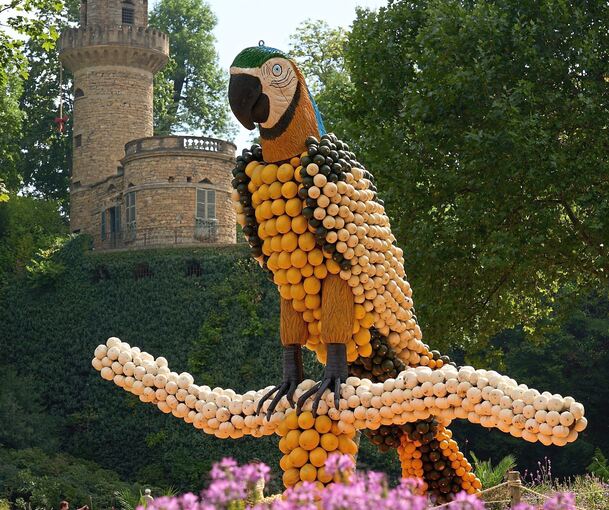 So werden die rund 500 000 Kürbisse im Blühenden Barock am Ende verwertet