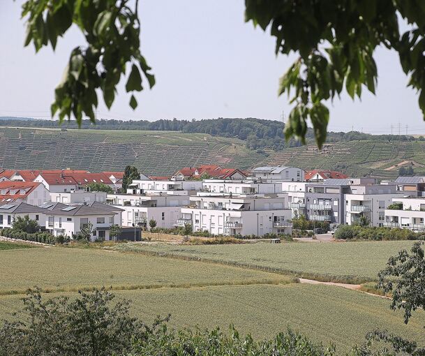 Für eines der letzten großen Baugebiete von Besigheim sind visionäre ...