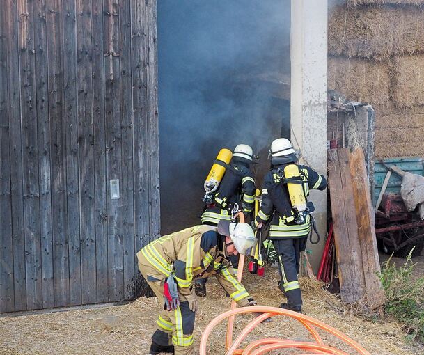 Übung der Freiberger Feuerwehr: Schnelle Rettung für Mensch und Kalb