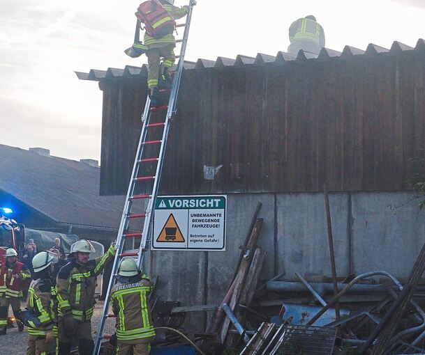 Übung der Freiberger Feuerwehr: Schnelle Rettung für Mensch und Kalb