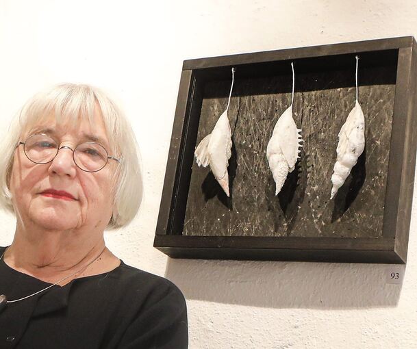 Die helle Welt der Gliederfüßler von Cäcilie Davidis