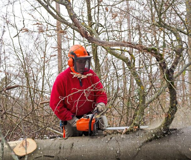 Frost im Forst: Warum das für die Waldarbeiter im Revier Bottwartal ein Segen ist