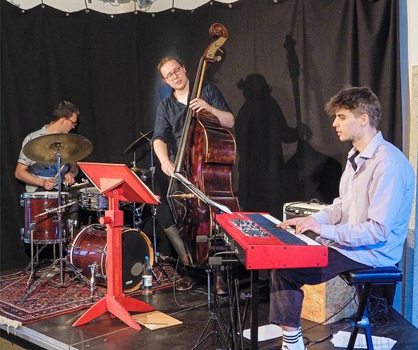 Das Trio Noah Diemer begeisterte die Zuhörer im Besigheimer Wartesaal