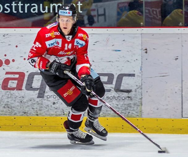 Bietigheim Steelers setzen auf tschechische Offensivpower