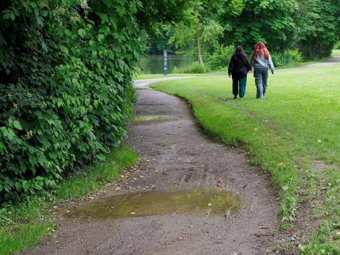 Bäume rund um den Monrepos-See sind einsturzgefährdet