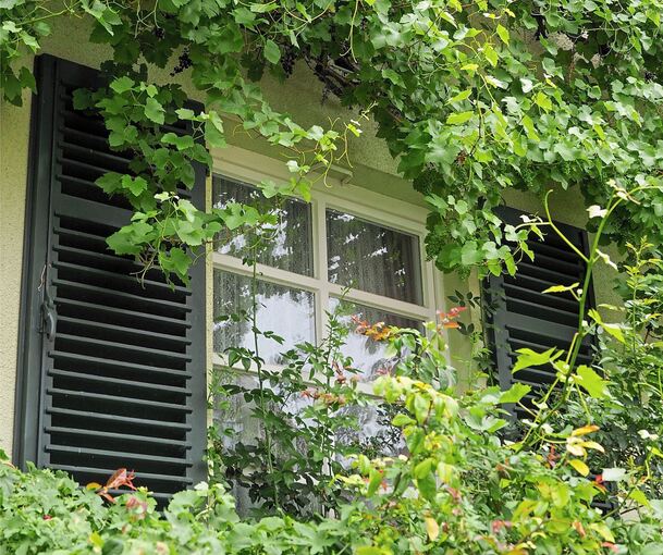 Wie geht es mit der einst so prachtvollen Griesinger-Villa in ...