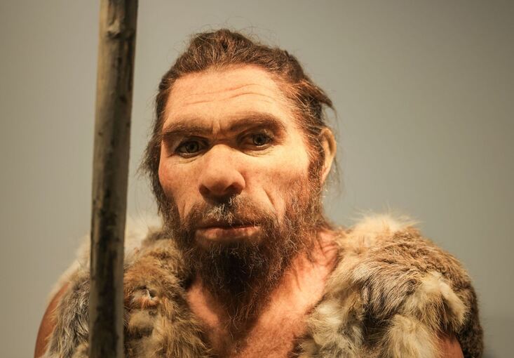 Der Neandertaler, der seiner Art den Namen gab