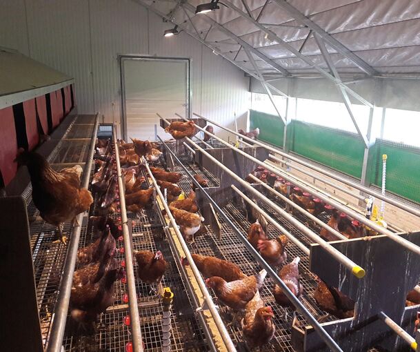 Die Angst vor dem Virus geht um: Früher Ausbruch sorgt für große Sorge